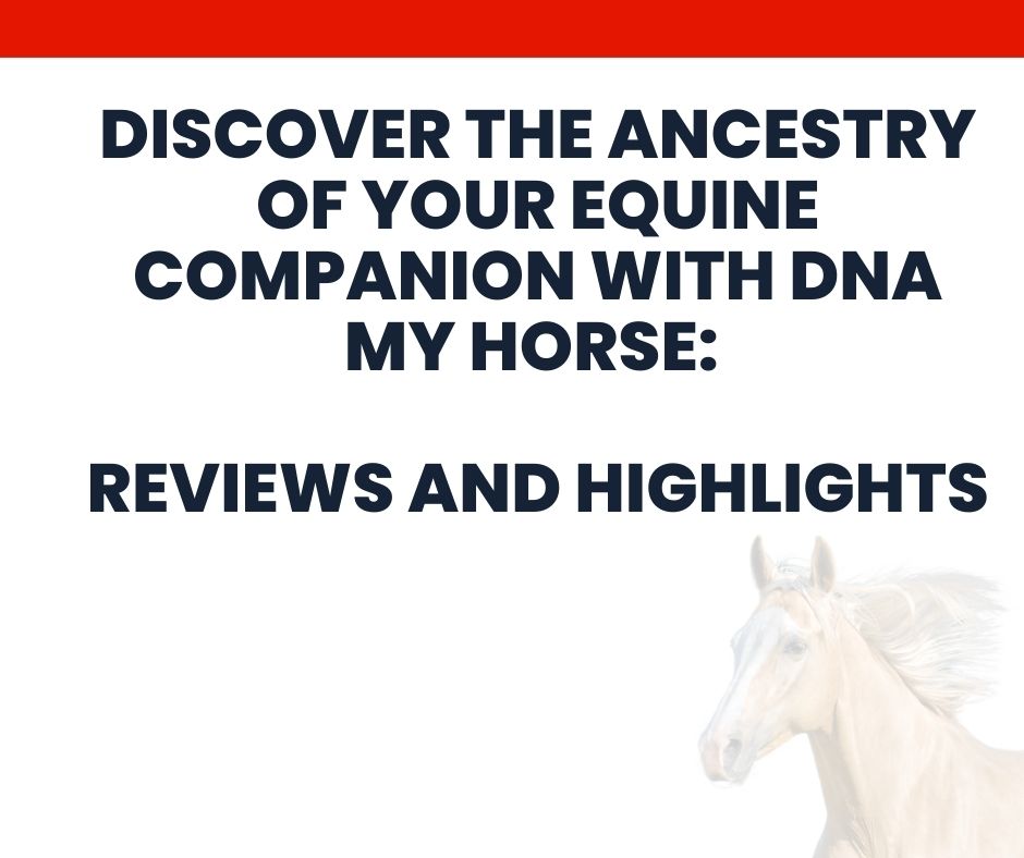 Discover the Ancestry of Your Equine Companion with DNA My Horse: Revi